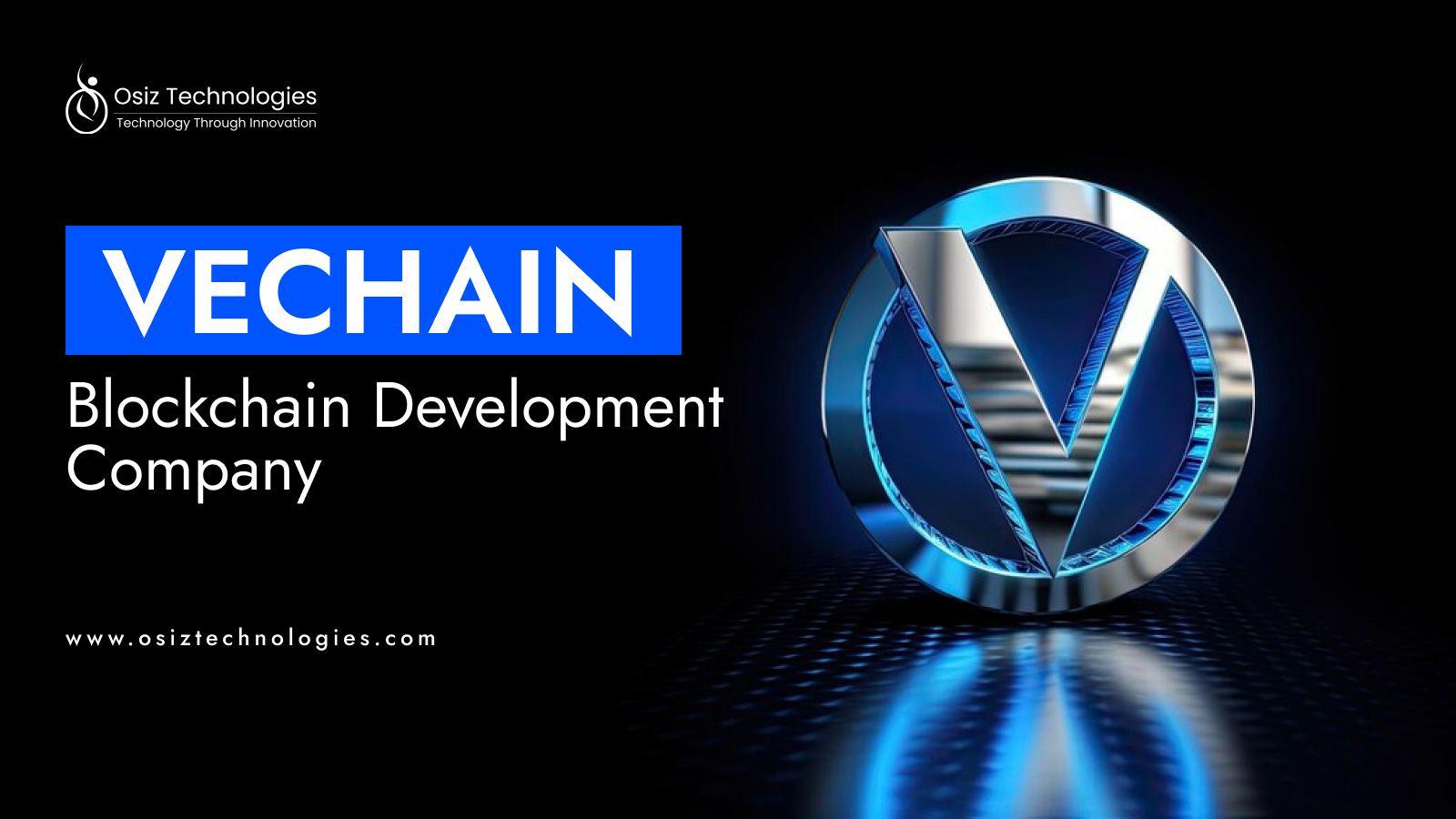VeChain Blockchain Development Company
